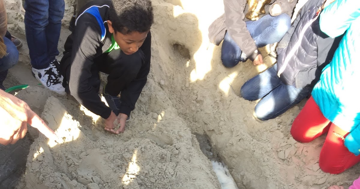 Derde graad - Villa kakelbont - juf Nele en meester Johan: Holle en ...