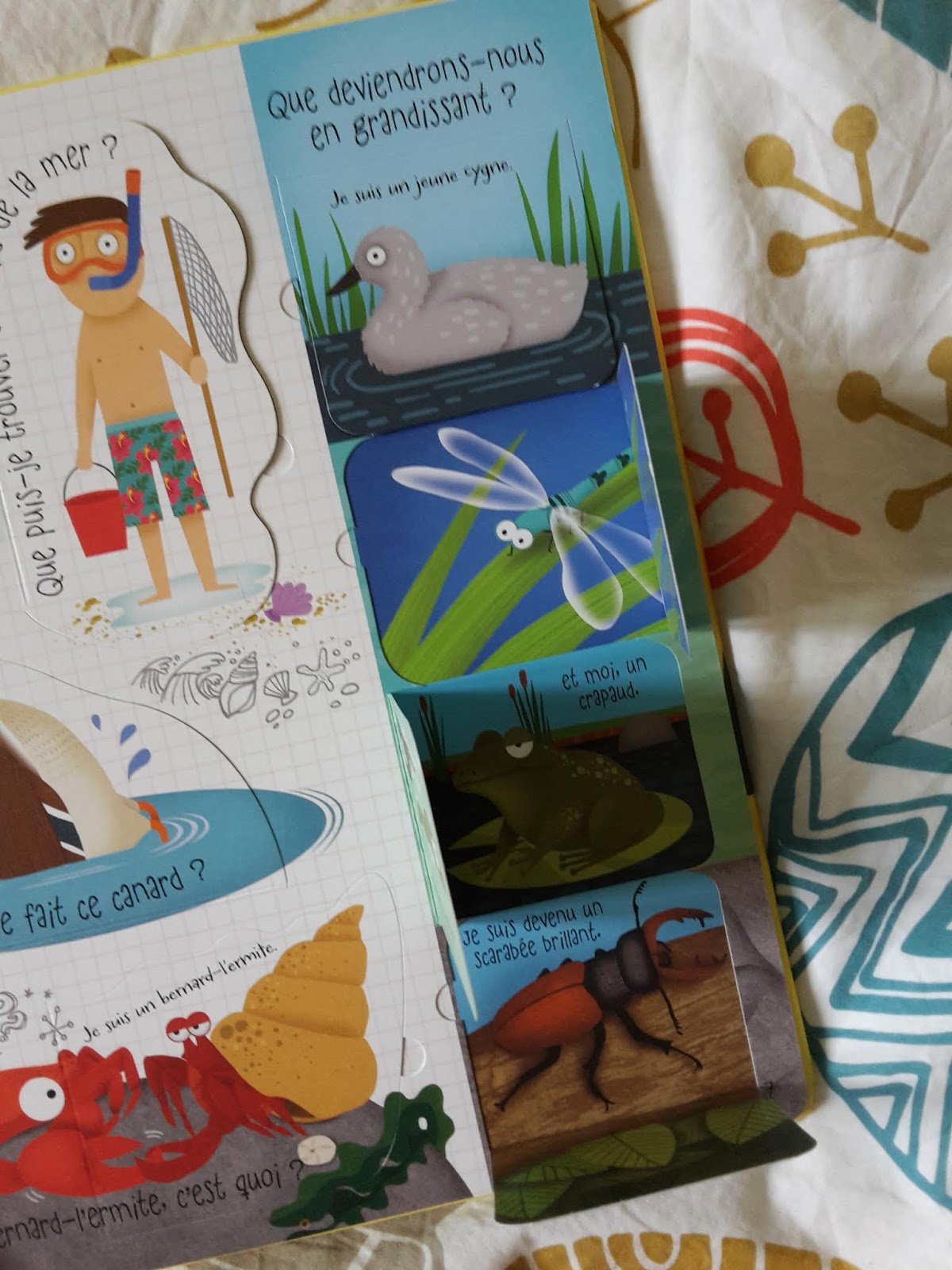 Sous le feuillage: Mon livre des questions-réponses - La nature de ...