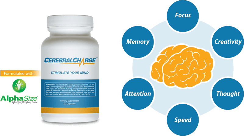 TOP 07 BRAIN SUPPLEMENTS OF 2017 ~ Nutritional Health Supplements