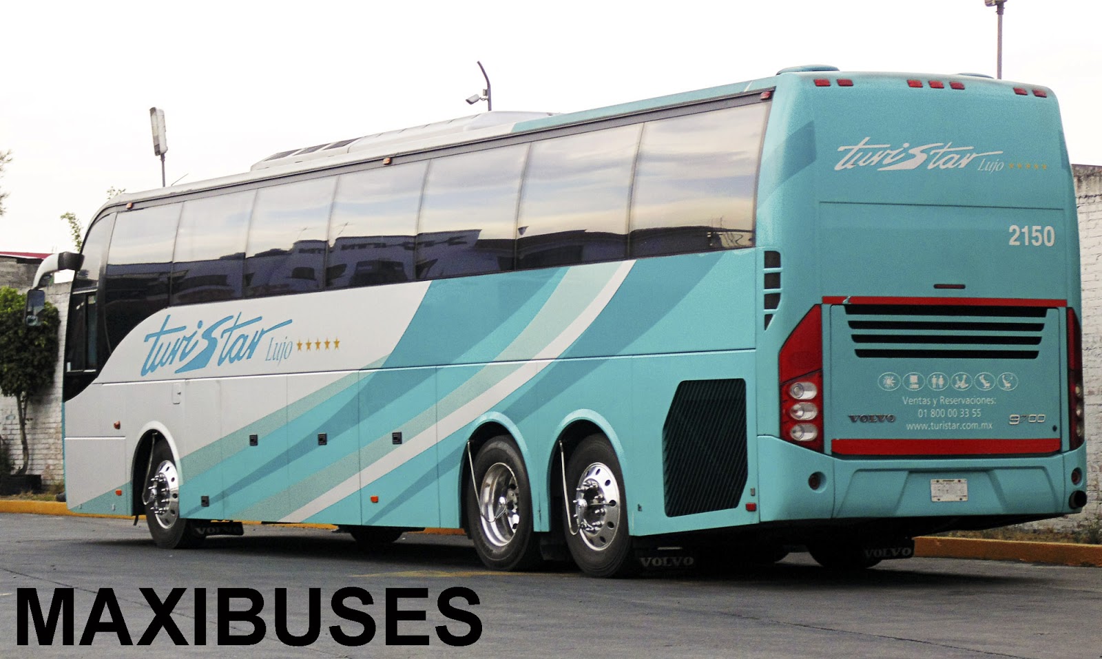 MAXIBUSES: TURISTAR LUJO