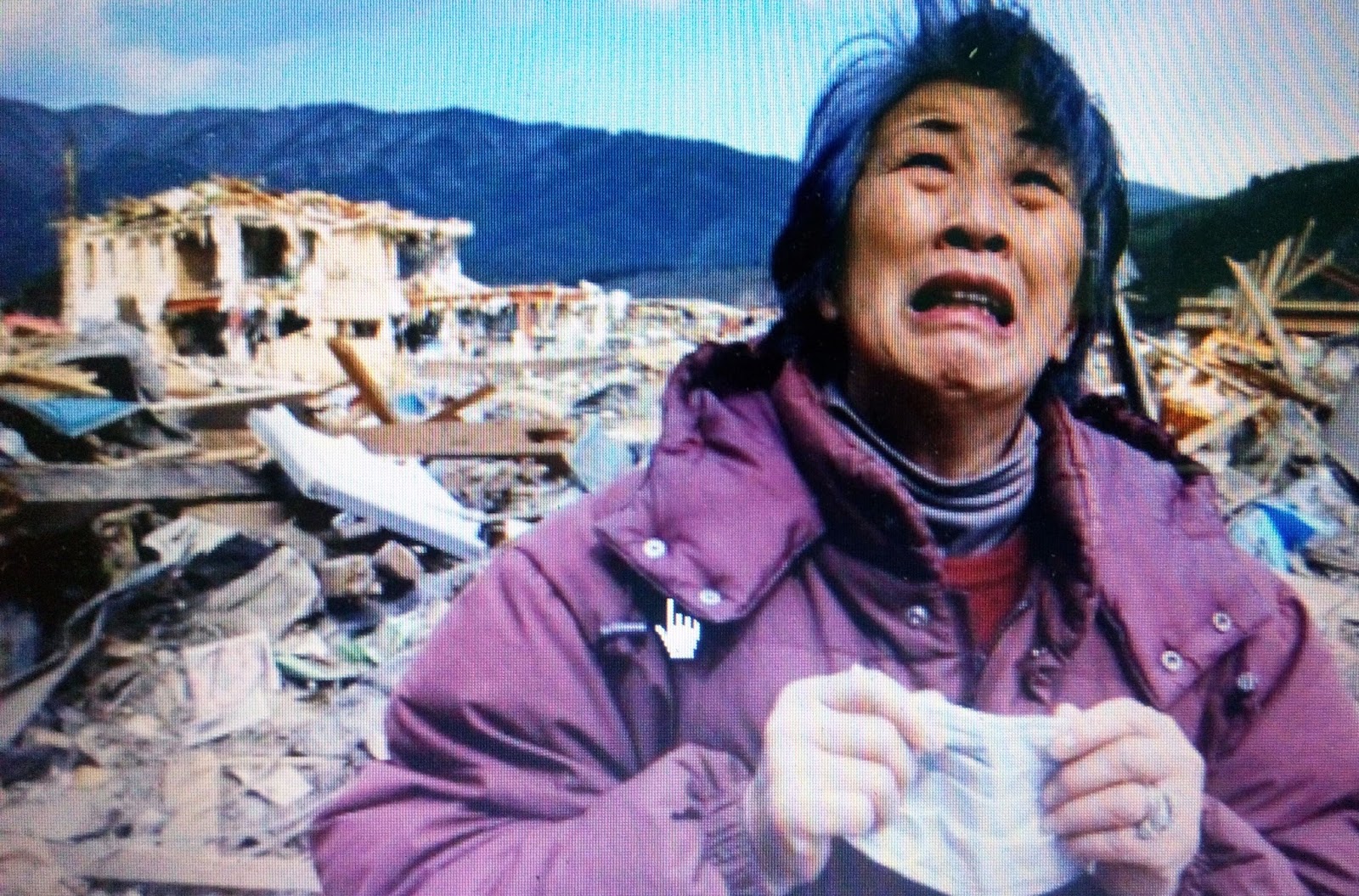 disaster management: VULNERABILITY ANALYSIS AND RISK ASSESSMENT