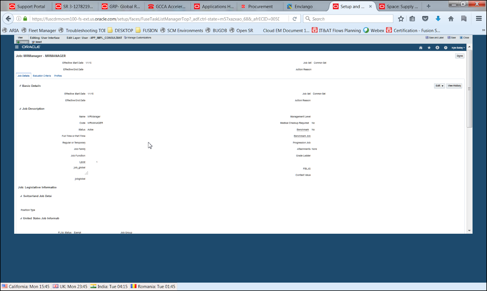 How to create Custom Job Role in Oracle Fusion Application: Job Level ...