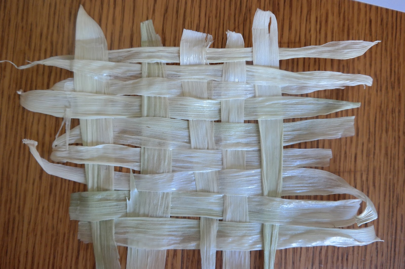 Glimmercat Education: Making "Papyrus" Paper From Corn Husks
