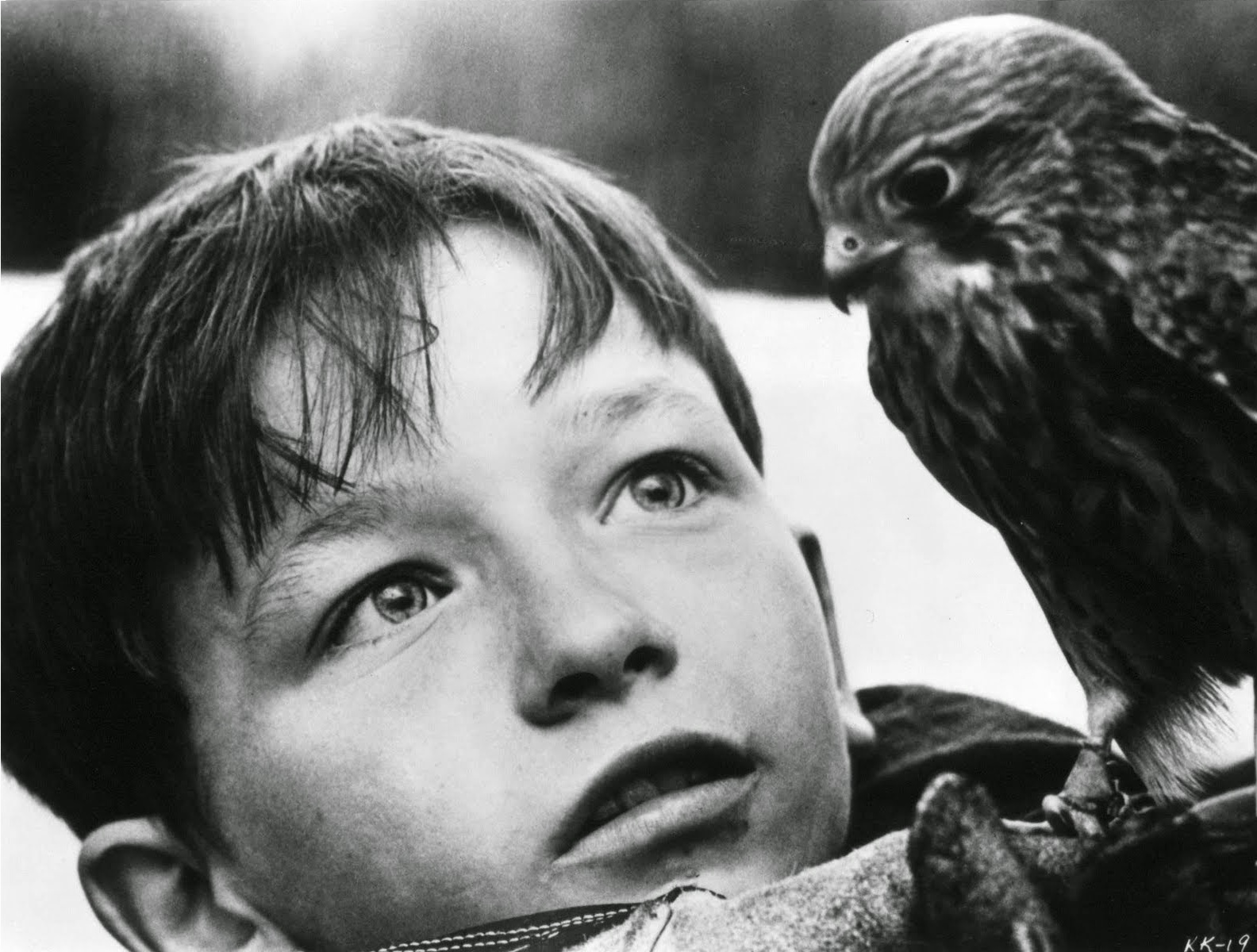 Aves e Árvores: Sobre o filme "KES" (1969): a comovente história de ...