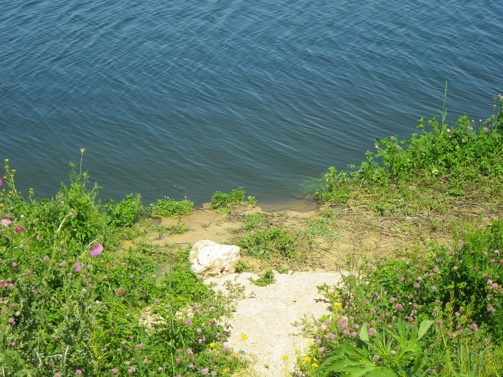 The Lost Grove Lake Mapping Project