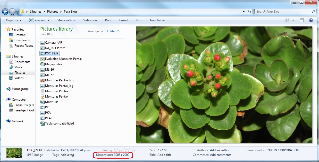 Fotografia, camaras, lentes y demas. Especialista en Pentax, Nikon y ...