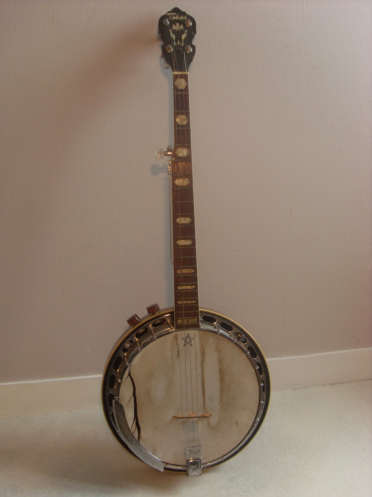 Collection d'instruments à cordes: Photo n°16 Banjo 5 Cordes