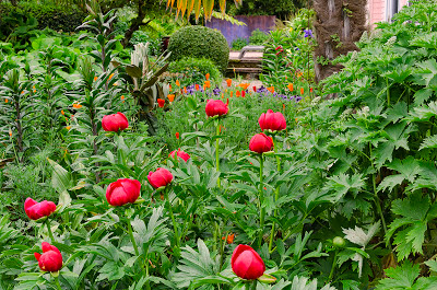 Linda Cochran's Garden: A Riot of Flowers