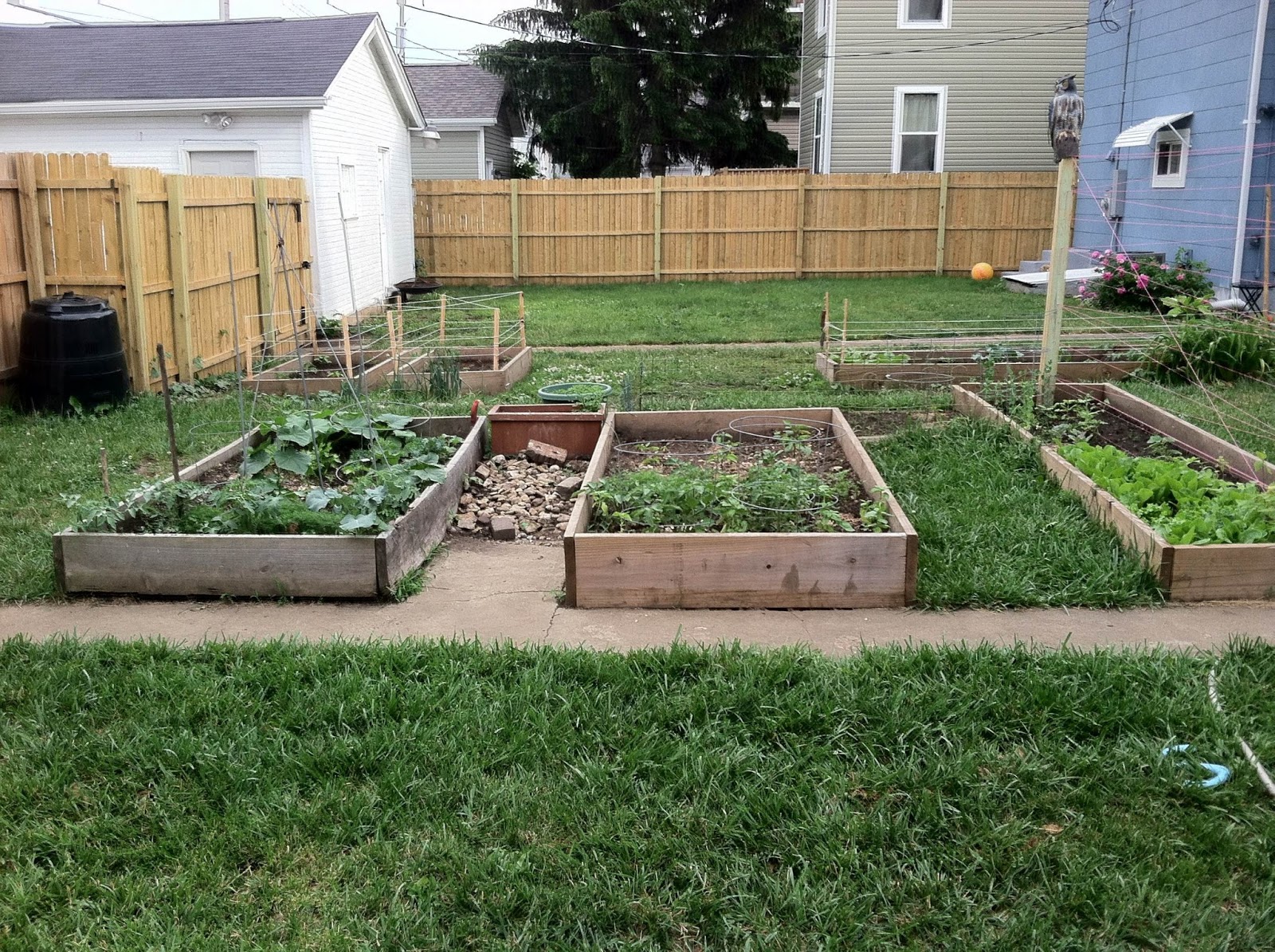 Life, Explained: Plotting to grow a garden.