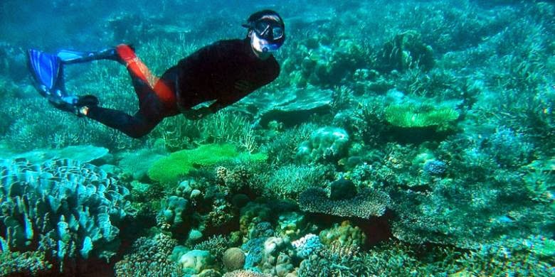 Wisata Bahari Gunung Krakatau and Sebesi Island | Krakatoa-Island