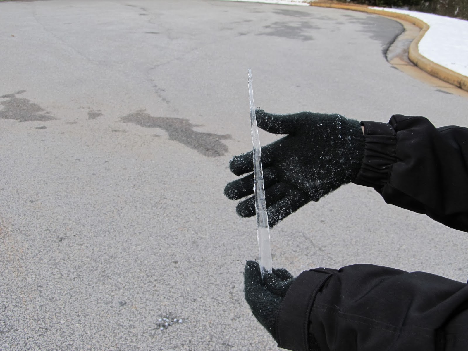 Georgia Girl With An English Heart: Record Breaking High Temp in ...