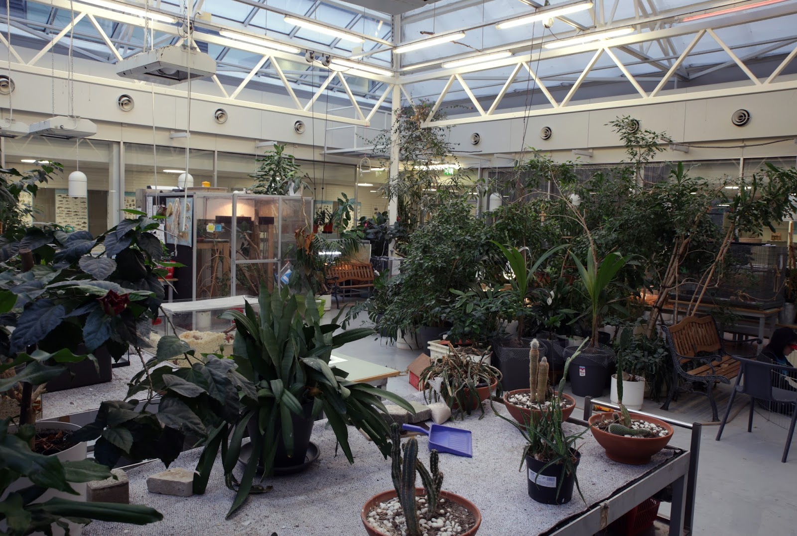 Vesalan peruskoulu, Helsinki