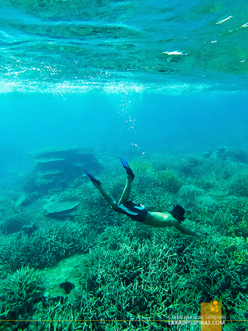 PALAWAN| Linapacan Island Hopping ~ One of the Clearest Waters in the ...