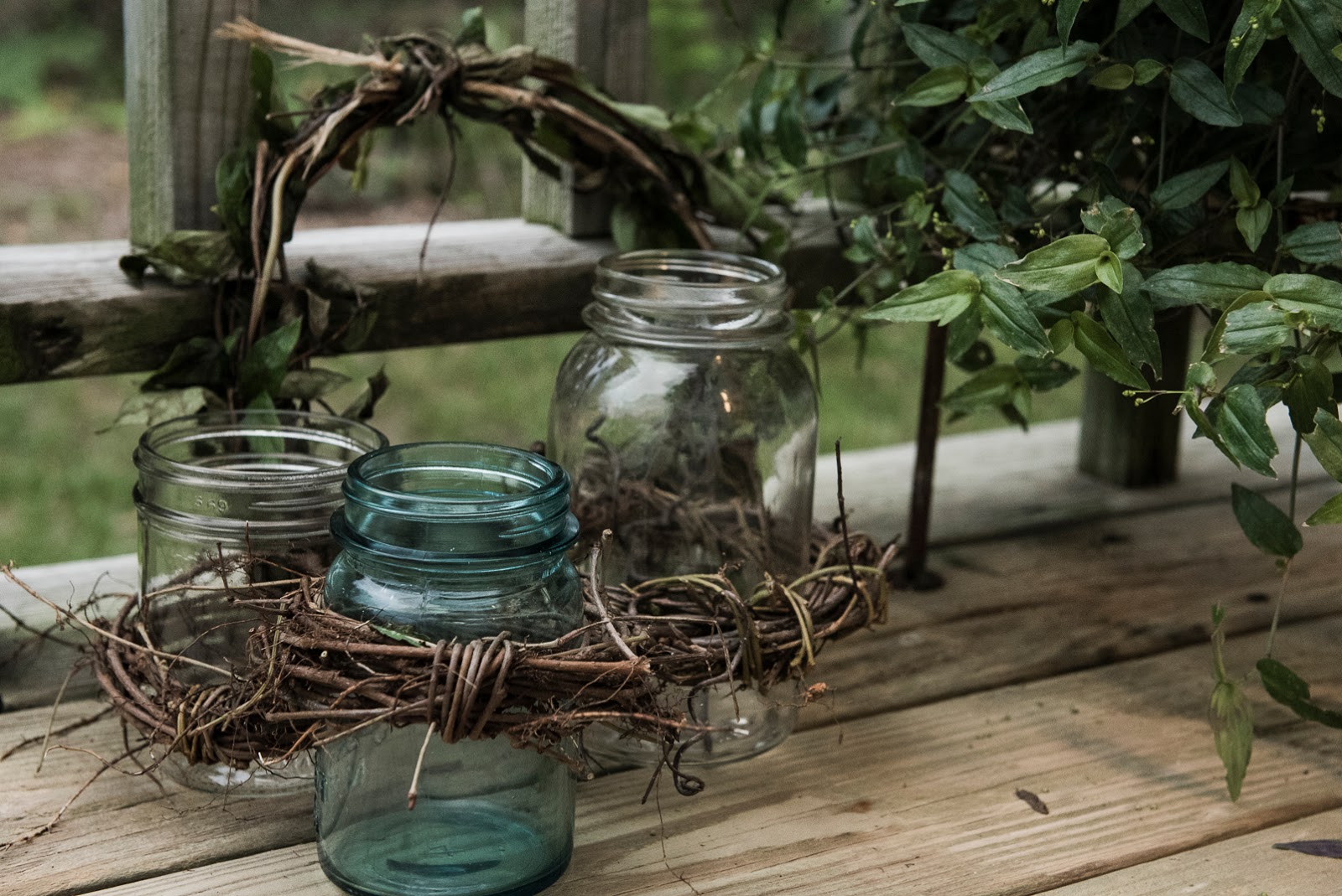 Vine Wraps - Jill Ruth & Co.