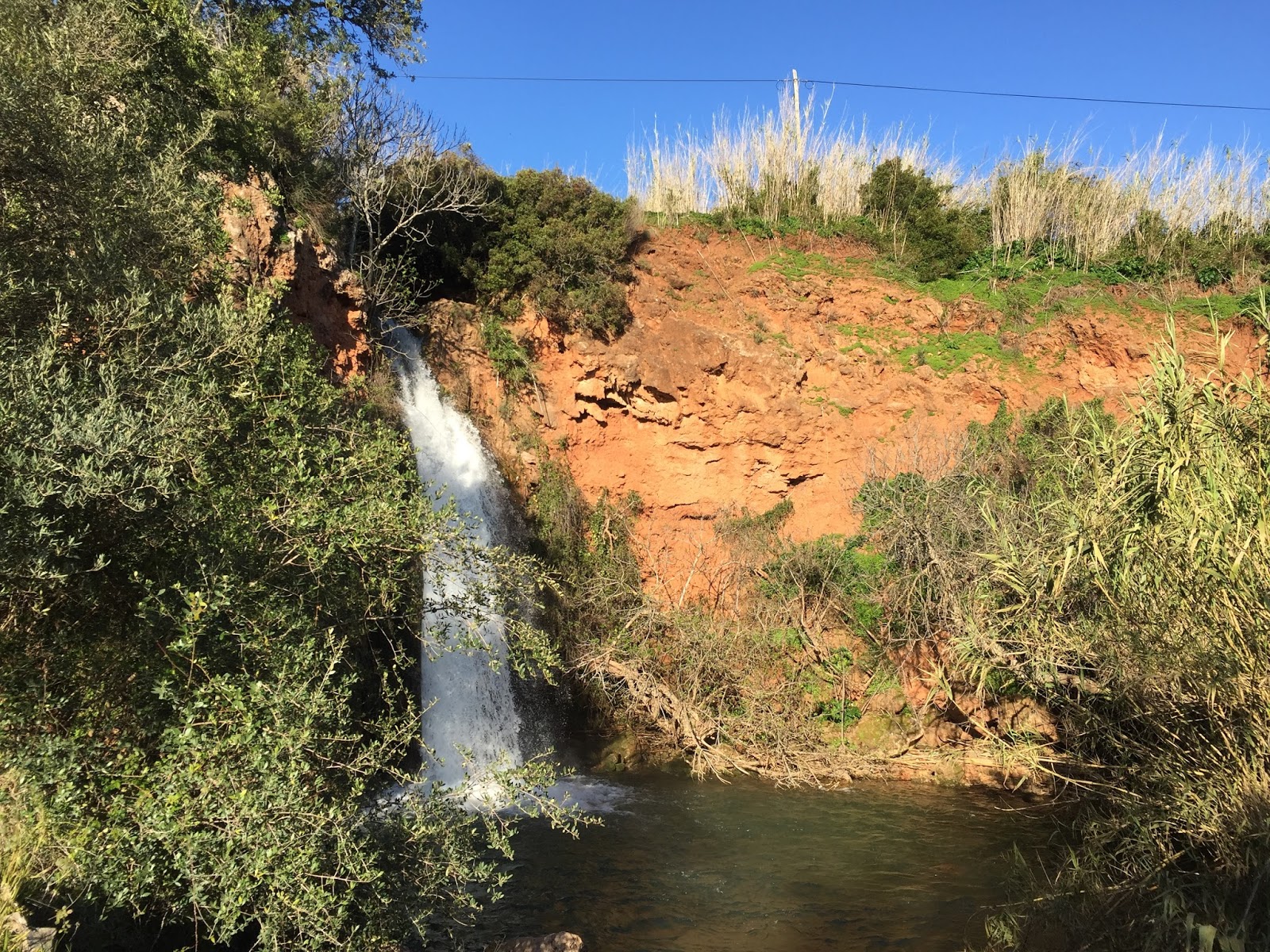 Albufeira- The best trip so far (English version)