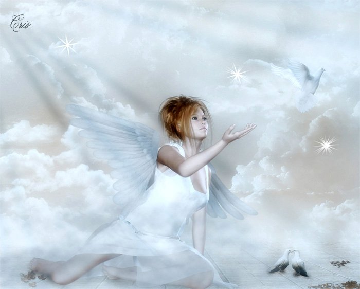 "ANGELS" BY PACHI: VIRTUAL ANGELS