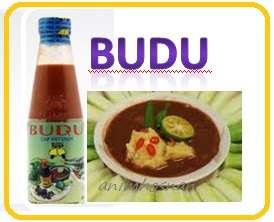 Anim Agro Technology: BUDU