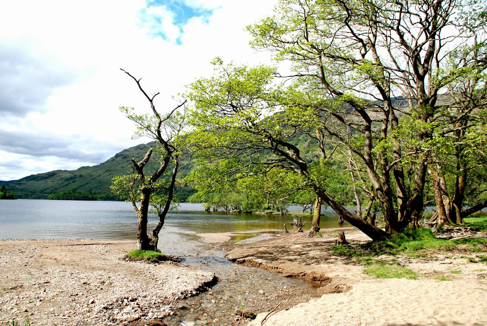 Walking the West Highland Way: Inversnaid - Inverarnan - Crianlarich
