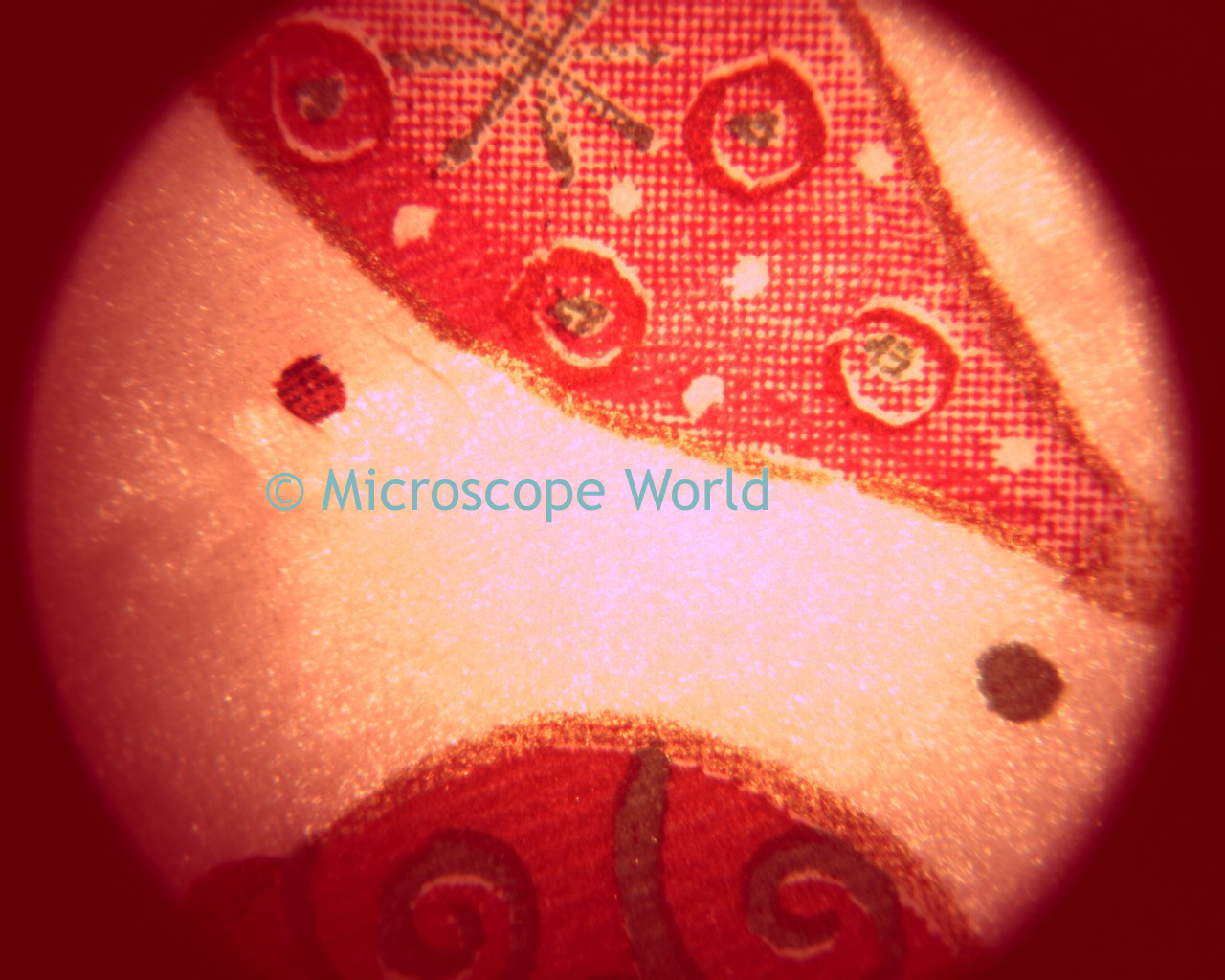 Microscope World Blog: Kids Microscope Project Ideas