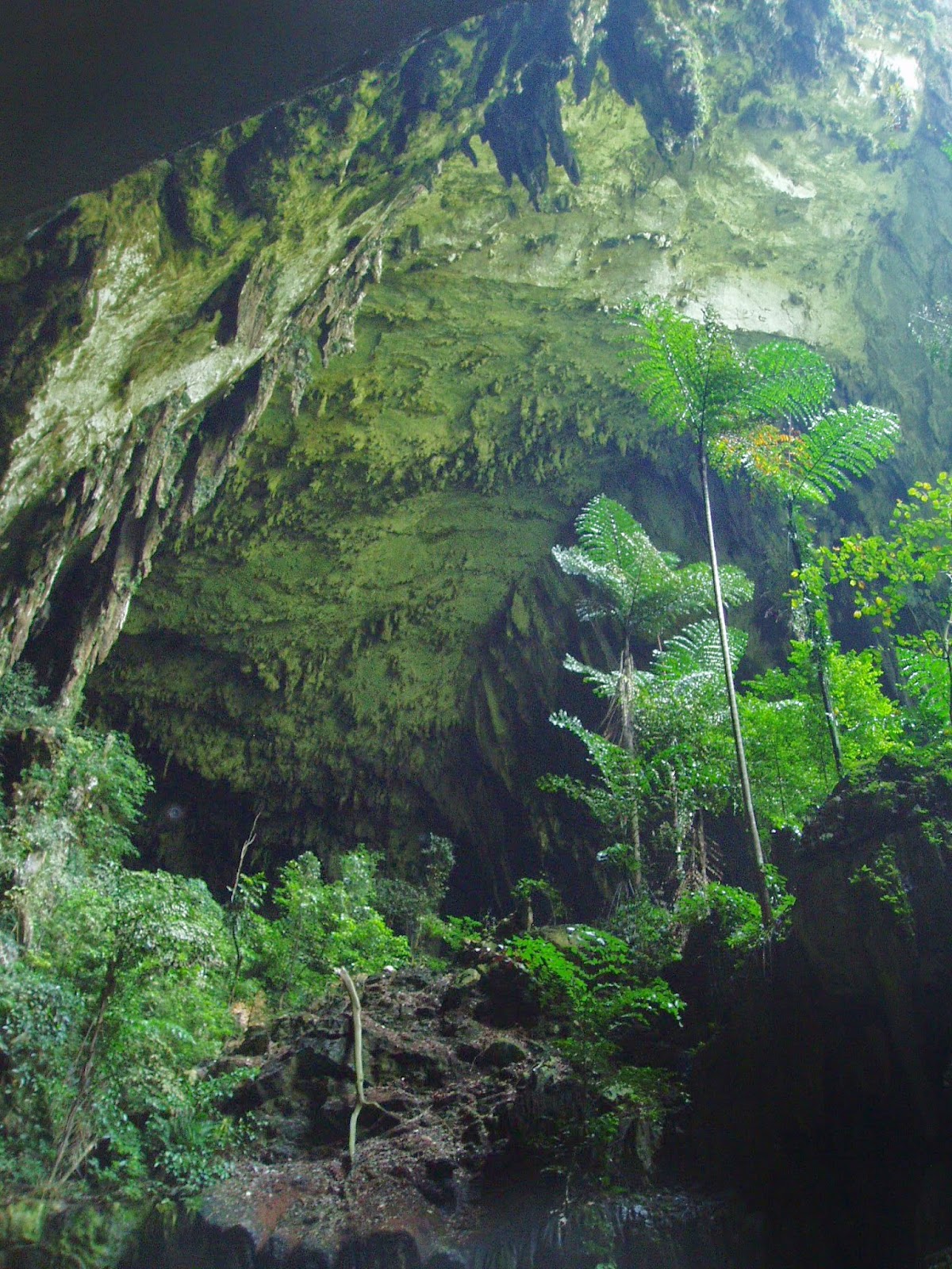 Tales from the Underground... by Andy Farrant