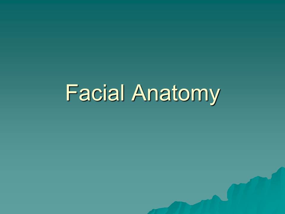 Dentistry: Facial Anatomy