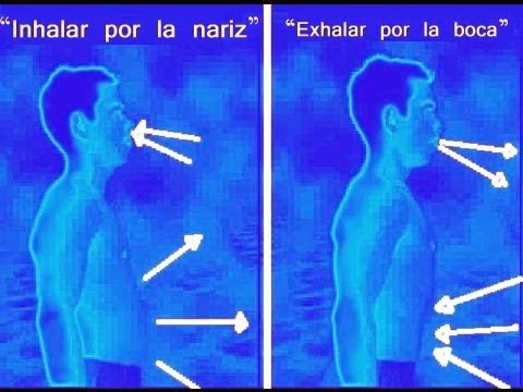 las actividades del nivel inicial: la creación de la nueva metodologia ...