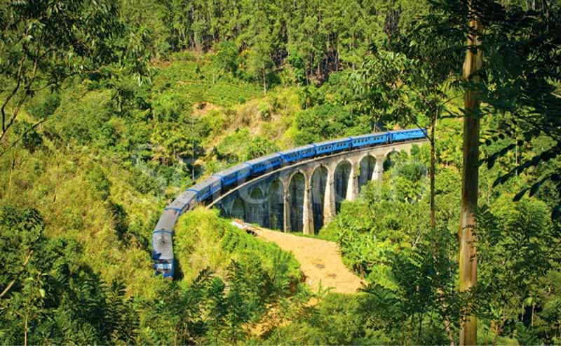 Safari Sri Lanka: Demodara Loop Sri Lanka - Amazing railway ...