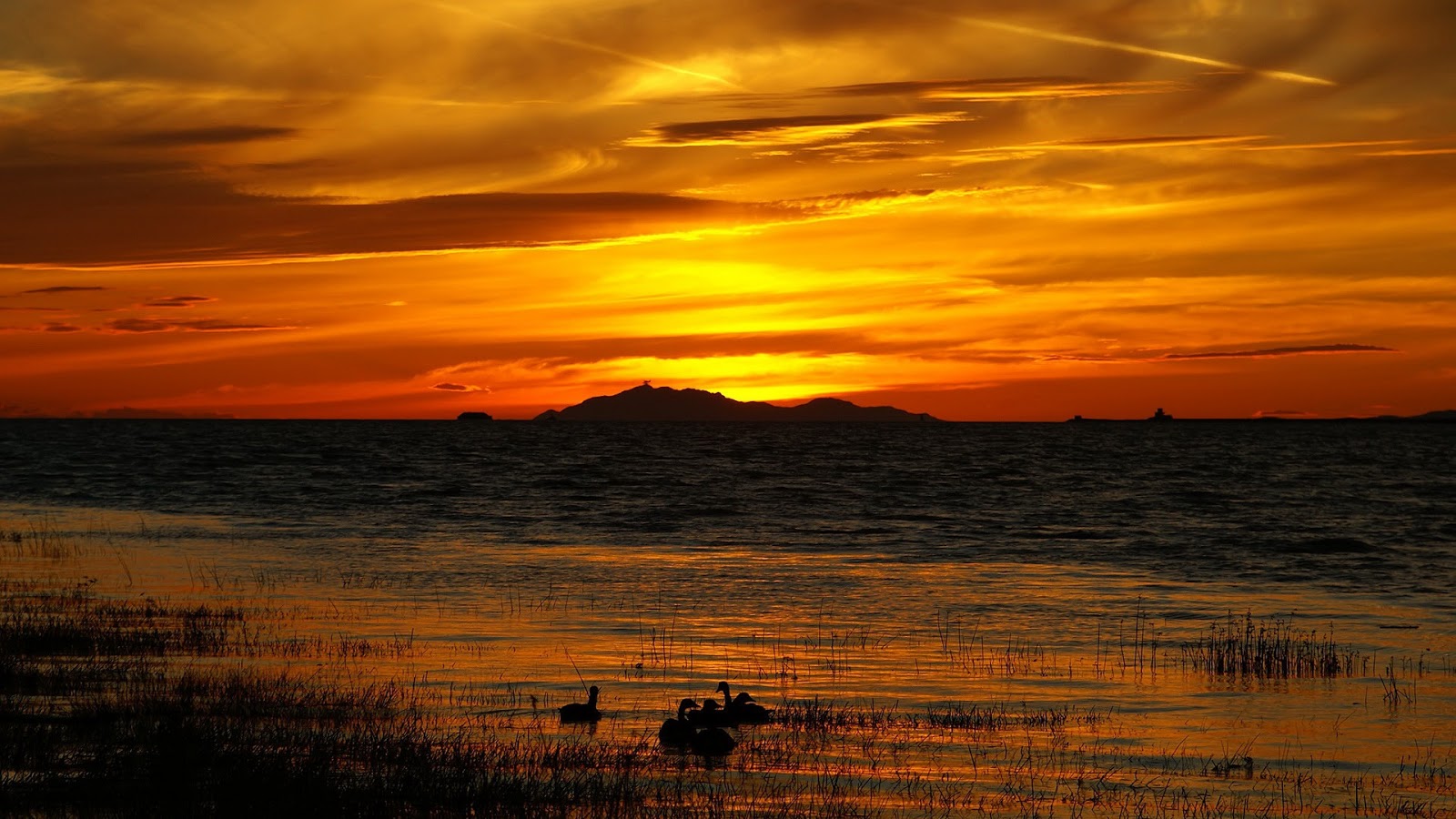 Zohaib Ahmad: Wallpapers