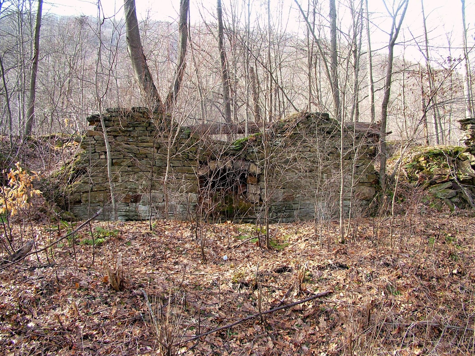 Cameron County PA News: Cameron County Historical Society Spring Hike