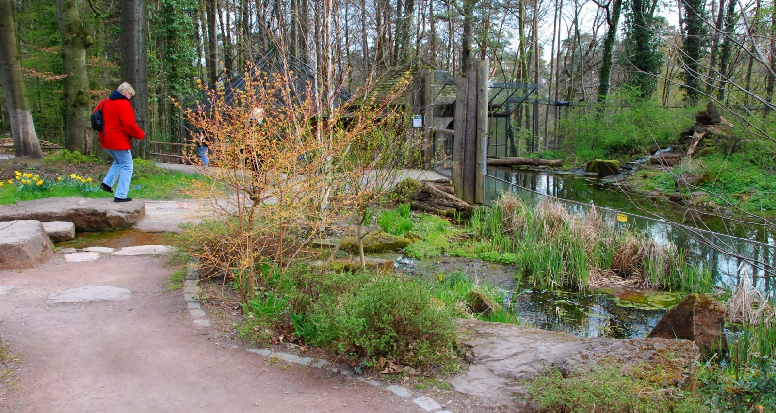 Zoo and Aquarium Design: Engaging the Visitor