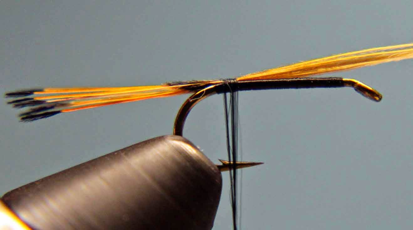 Fishbait's Fly Box: The Traditional Adams