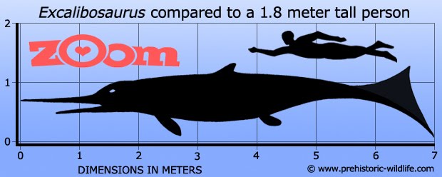 Lumba Lumba Purba yang Pernah Menguasai Lautan - Berita Lucu, Berita ...