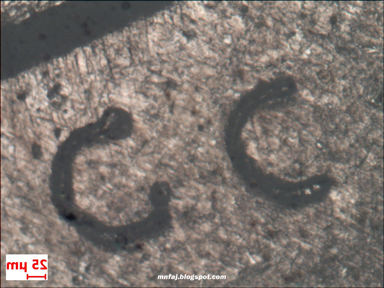 Mnfaj's Coin and Banknotes: 170. GC Designer's Initial for Geoffrey ...