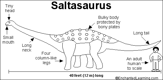 Saltasaurus | BIOLOGIPEDIA