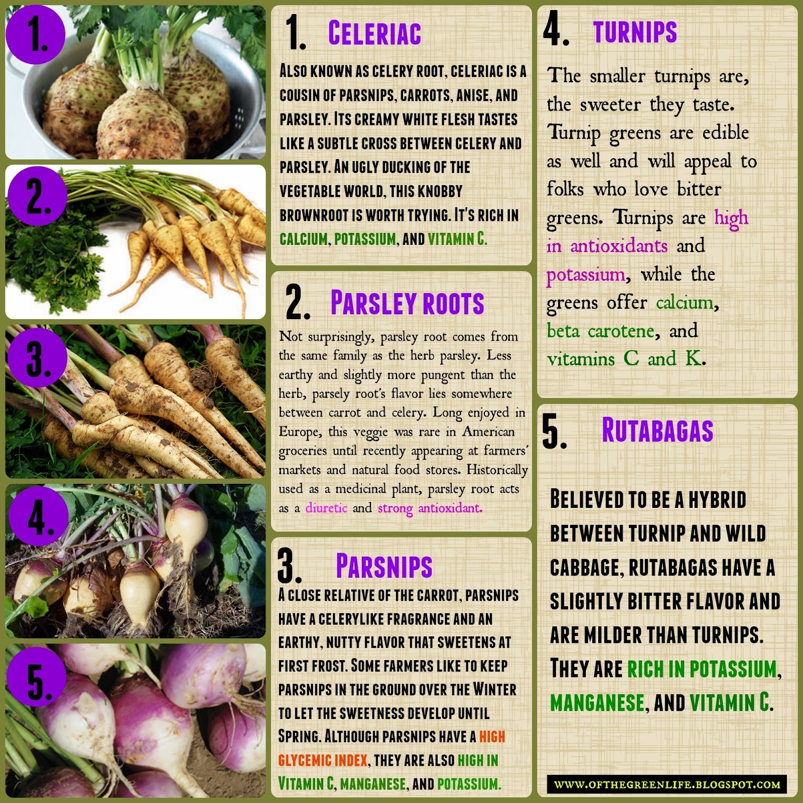 Of The Green Life: Body Nourishment: Let's Get Back To The `Root` Of It