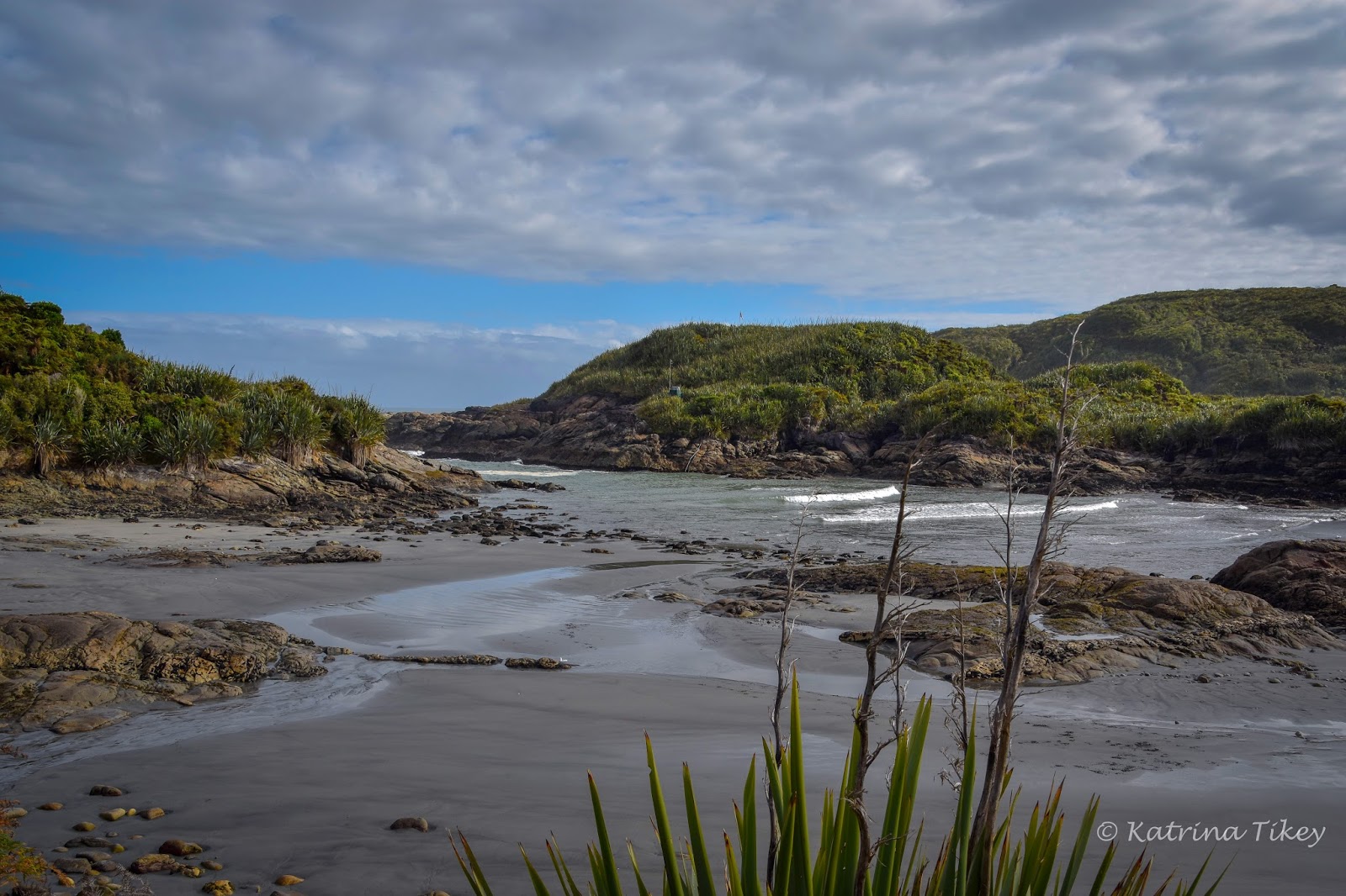 Paws Awhile: Not Just Any Kind Of Bay.