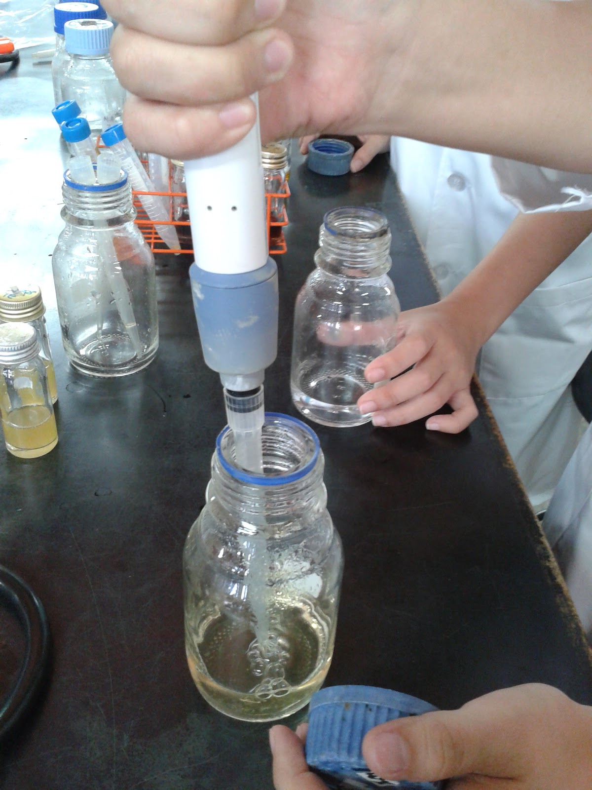 IBG 102 lab report: LAB 5 : DETERMINATION OF ANTIMICROBIAL EFFECTS OF ...