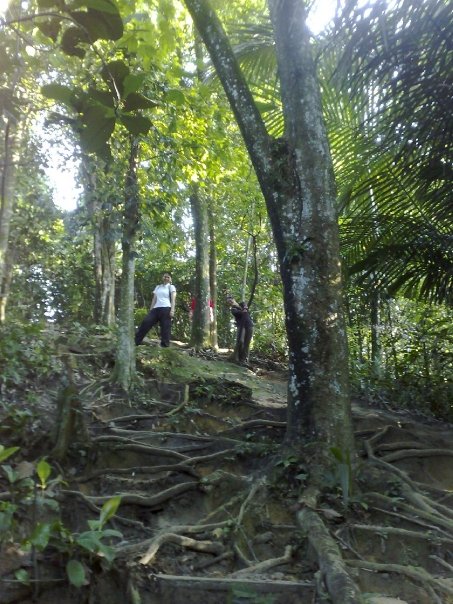 Life's An Adventure!: Bukit Gasing