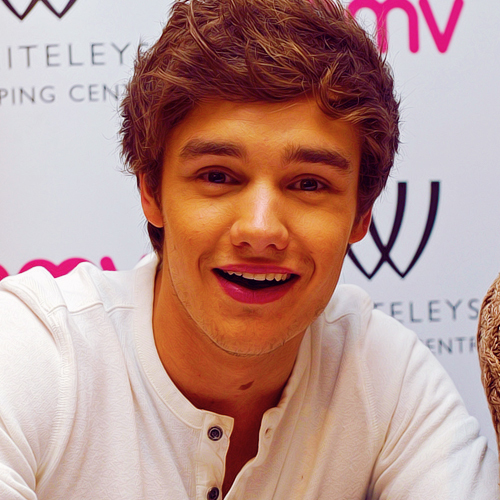 Biodata my idol One Direction: Biodata One Direction