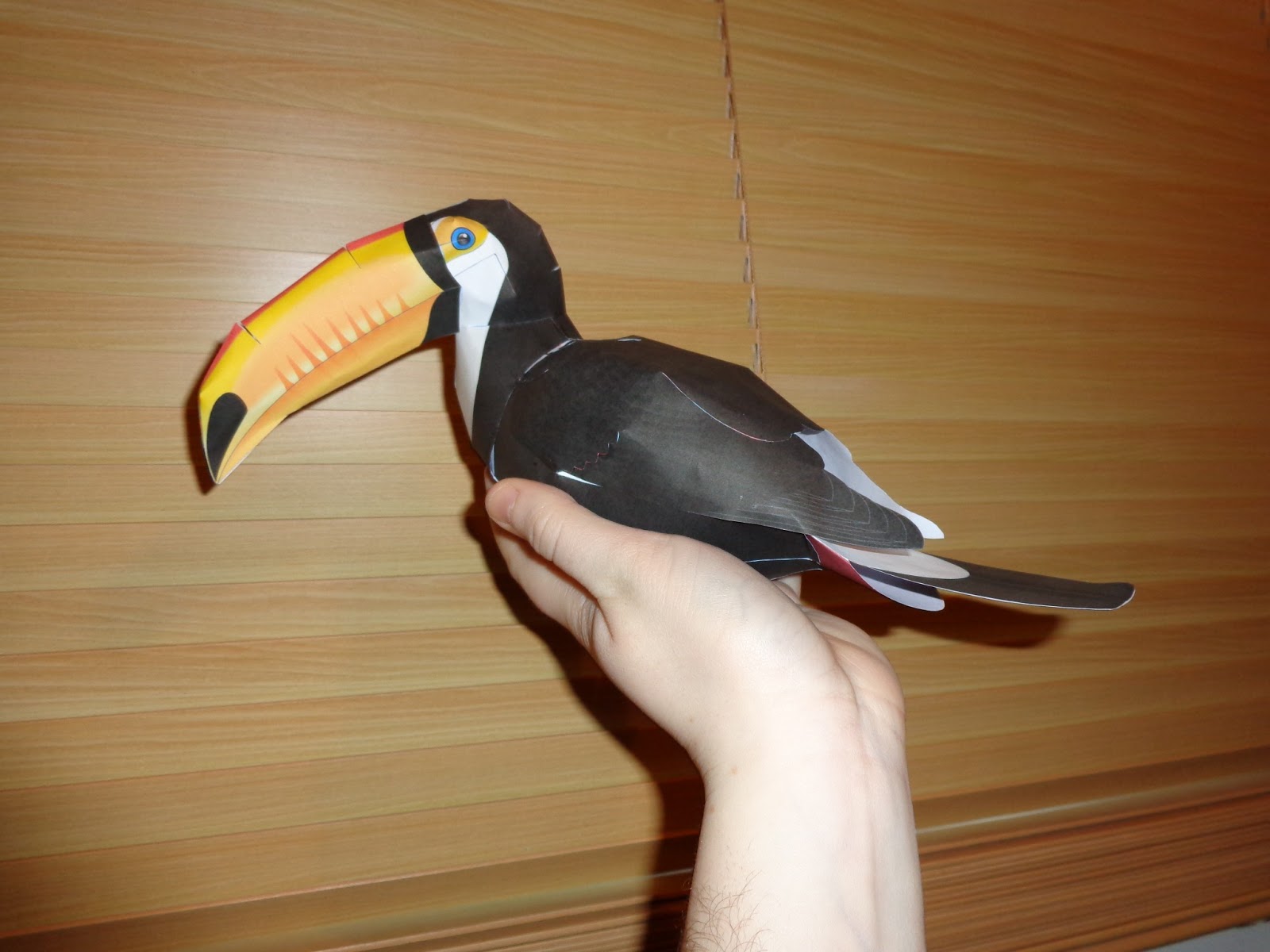 On The Shelf: Toucan - Paper Craft