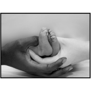 Zach's Journal: 5 hands and feet