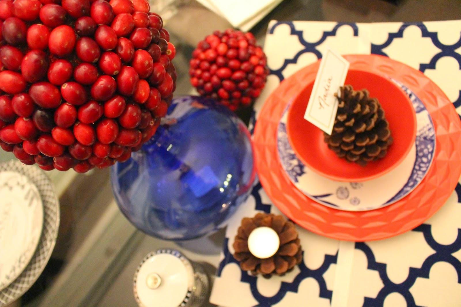 Nadia's DIY Projects: DIY Cranberry Topiary