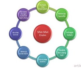 Sifat Enzim ~ Lepank