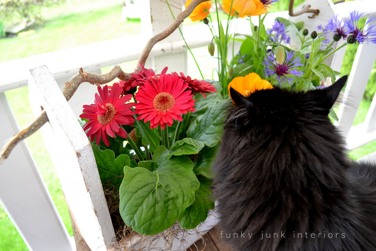 How to make a reclaimed wood picket toolbox planter! (easy, with 1 ...
