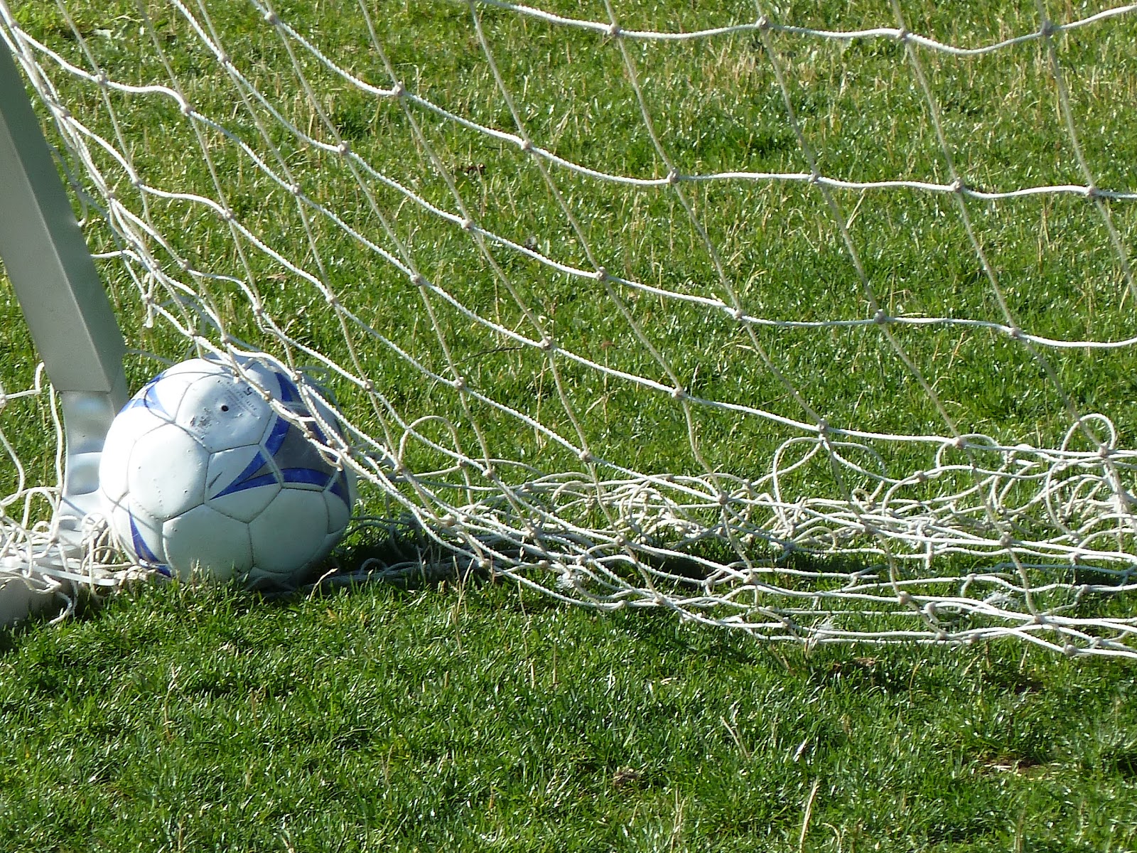 NW Artist: Learning About Life, Art & Spirituality: Hickman Park ...