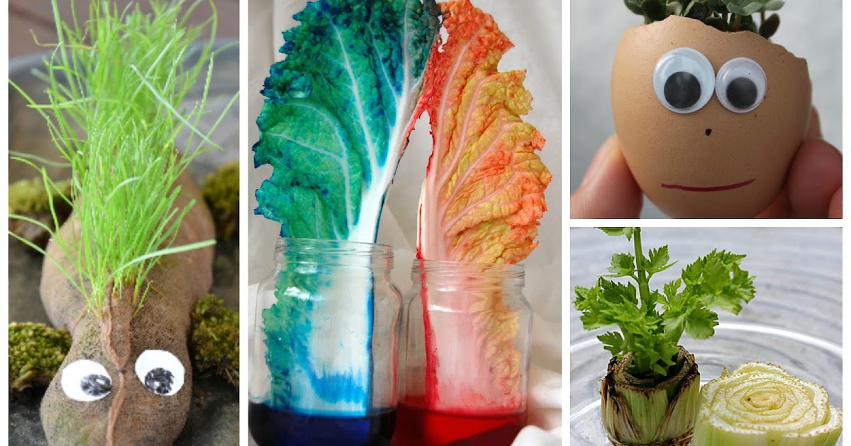 Spring Science for Kids