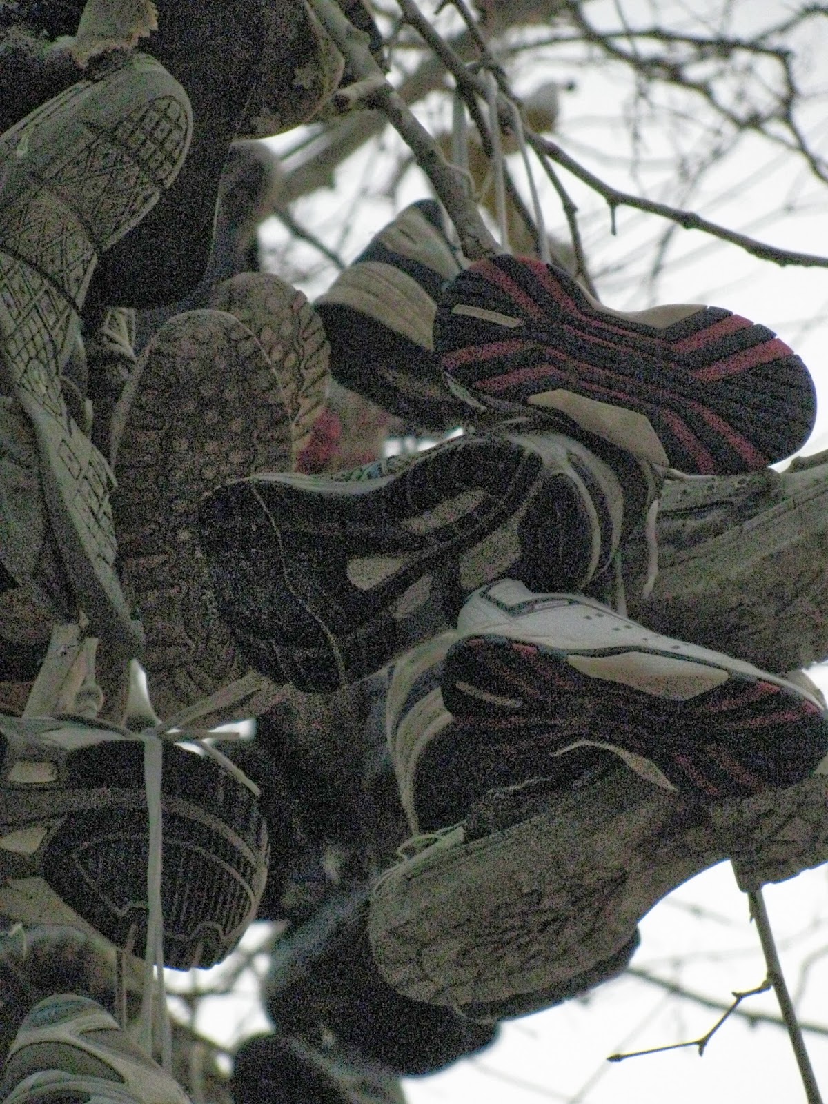 Eerie Indiana: The Famous Shoe Tree, Milltown, Indiana
