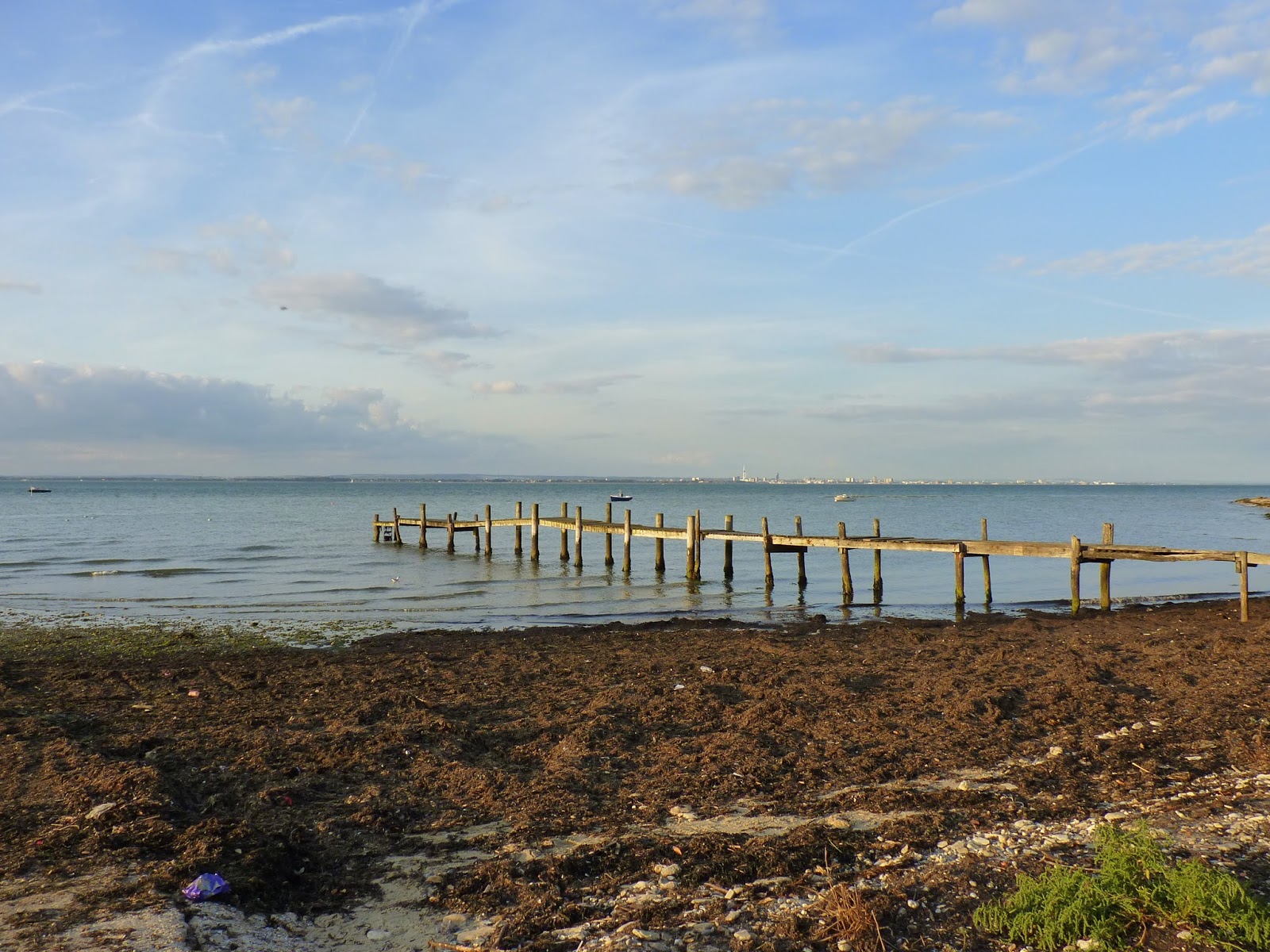 Birding For Pleasure: Birds and Binstead Beach