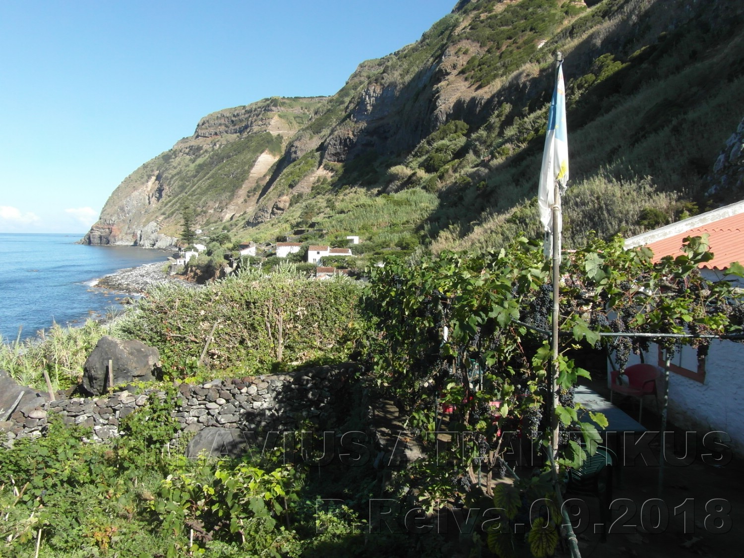FLAVIUS ATLANTIKUS: Rocha da Relva - S. Miguel Island - Azores - Portugal