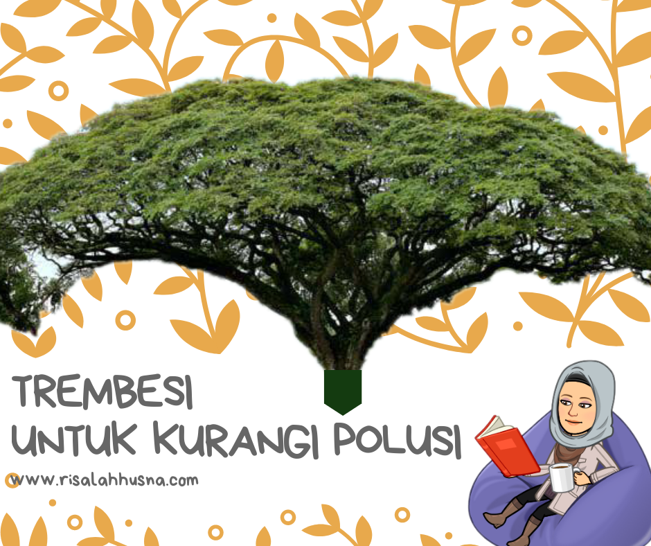 Risalah Husna: Trembesi, Ki Hujan Penangkal Polusi